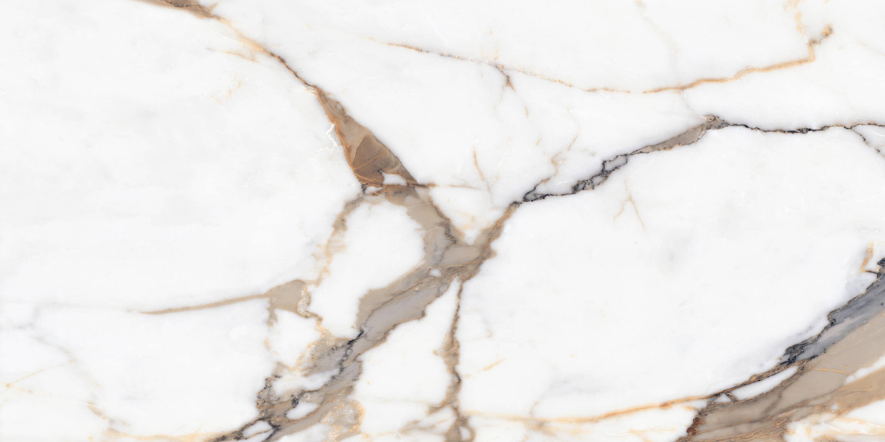 Satori Calacatta Dorado 24-in x 48-in Polished Porcelain Marble Look F – Super Arbor
