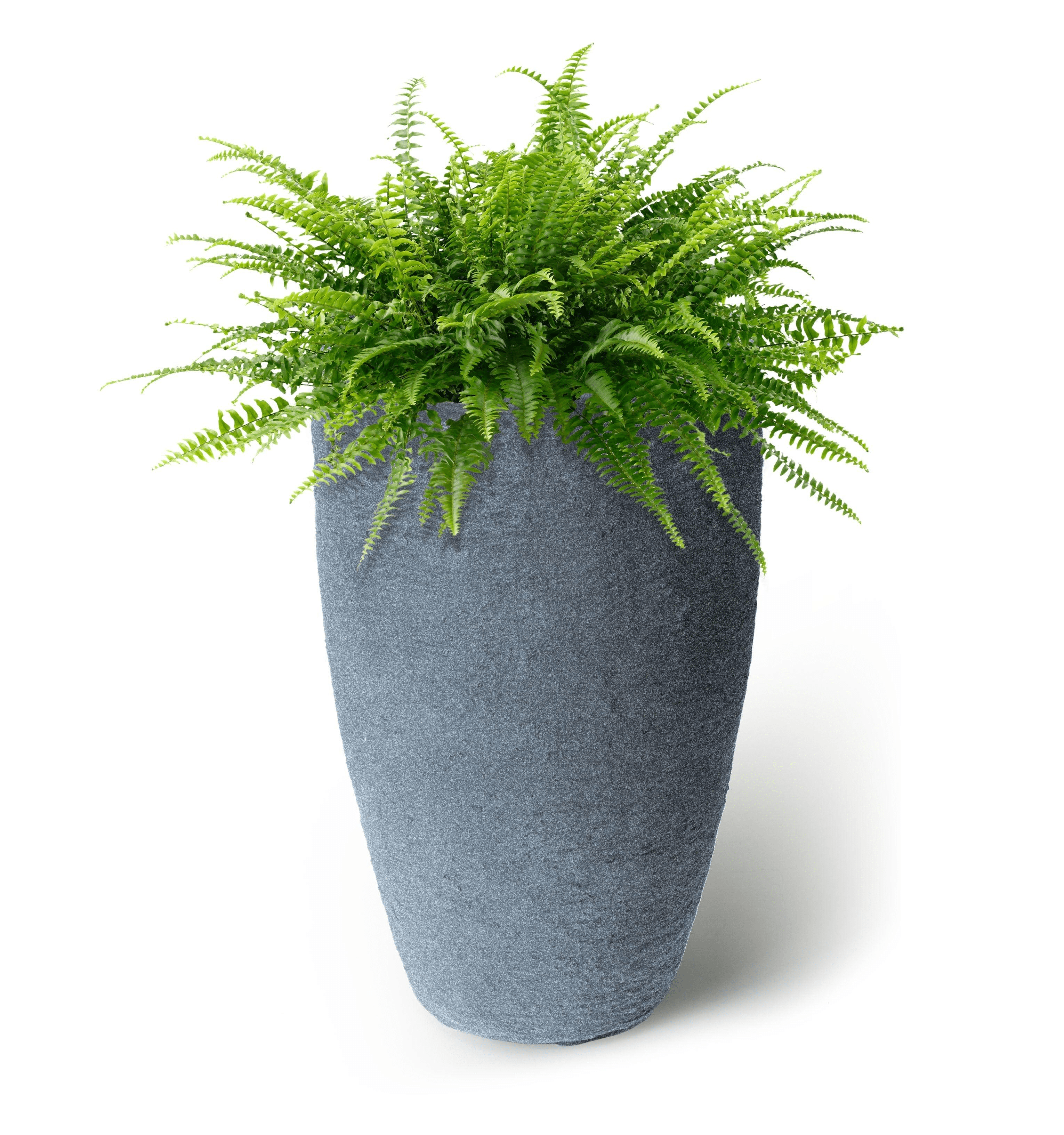 Algreen Products – Super Arbor