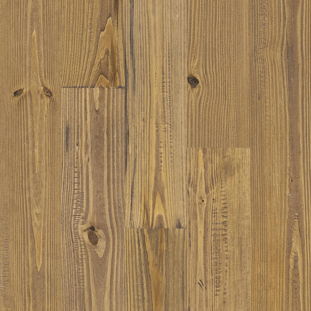 Beasley – Super Arbor