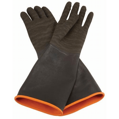 Hardy – Super Arbor