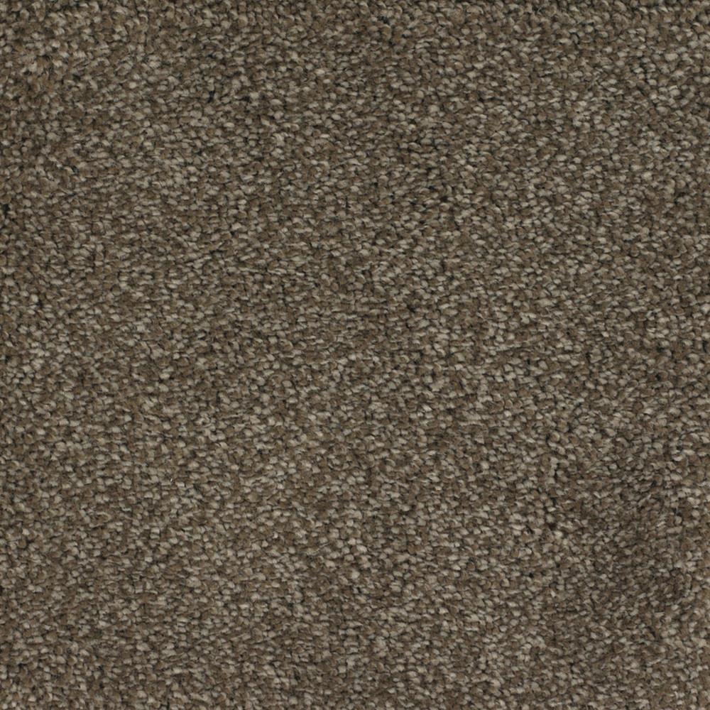 STAINMASTER Signature Briar Patch Kinston Textured Carpet Sample (Inte ...