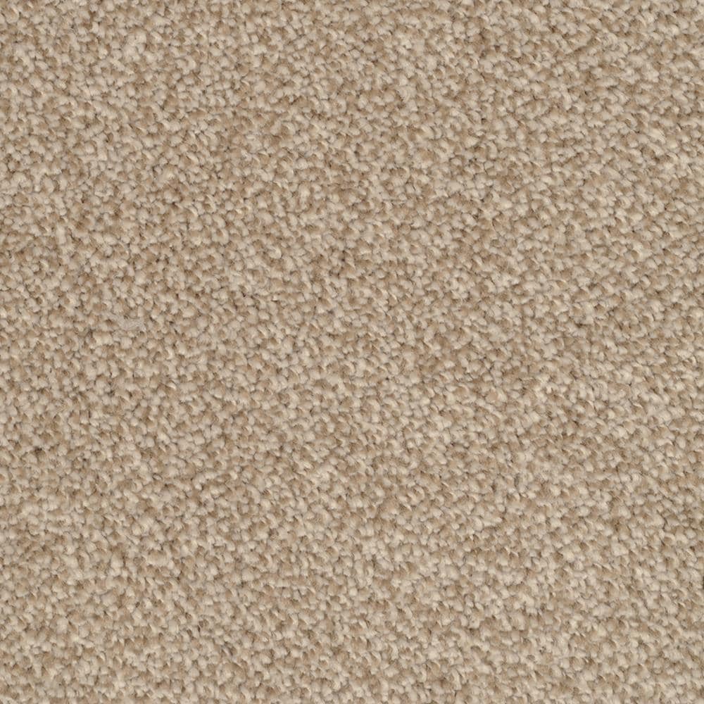 STAINMASTER Signature Shafer Valley Reverse Textured Carpet Sample, 8 ...