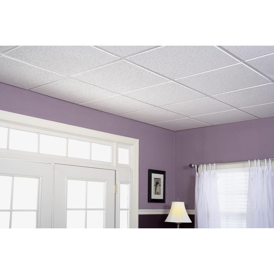 USG Ceilings 48-in x 24-in 6-Pack White Fissured 3/4-in Drop Acoustic ...