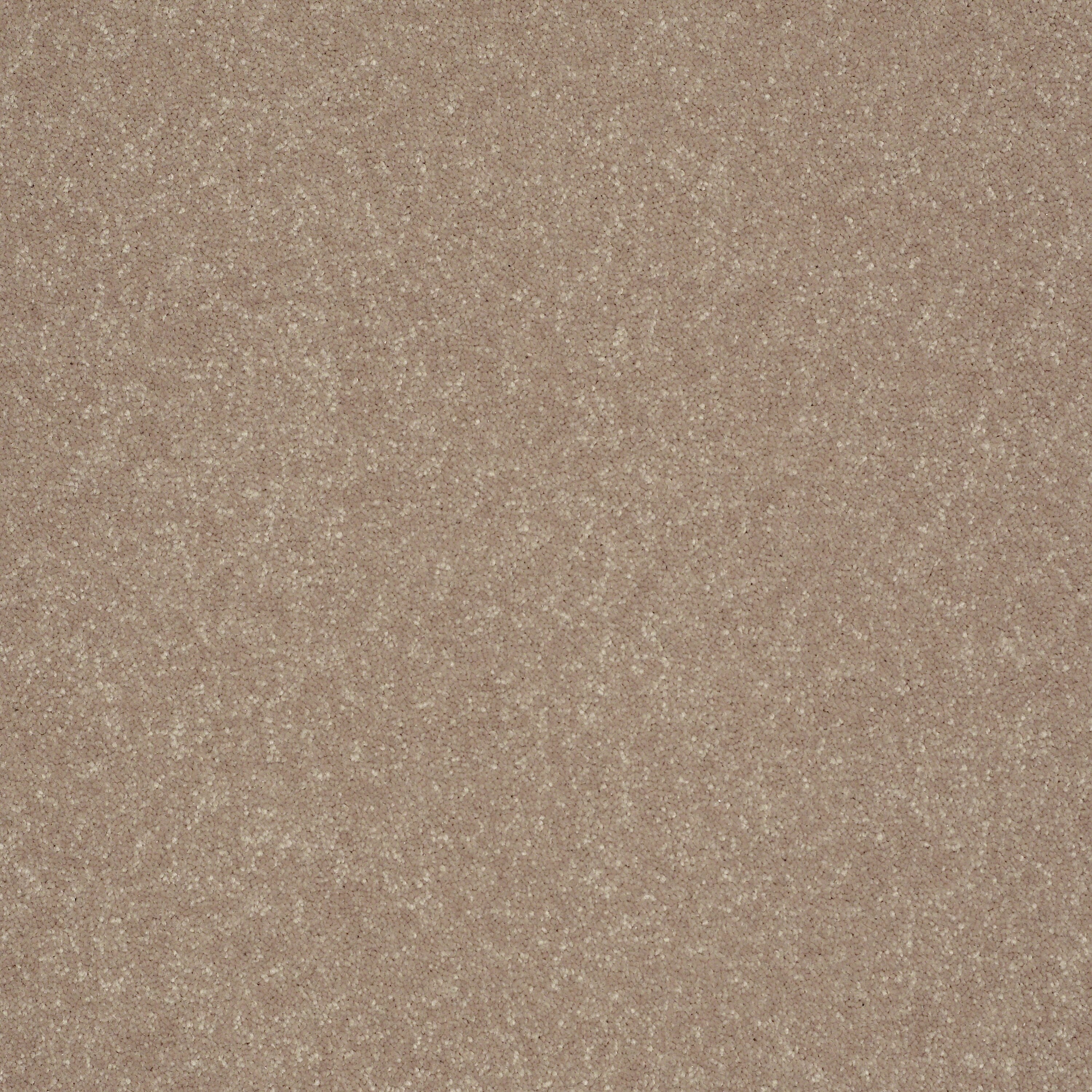 STAINMASTER Essentials Intuition III 12-ft Crisp Khaki Textured Carpet ...