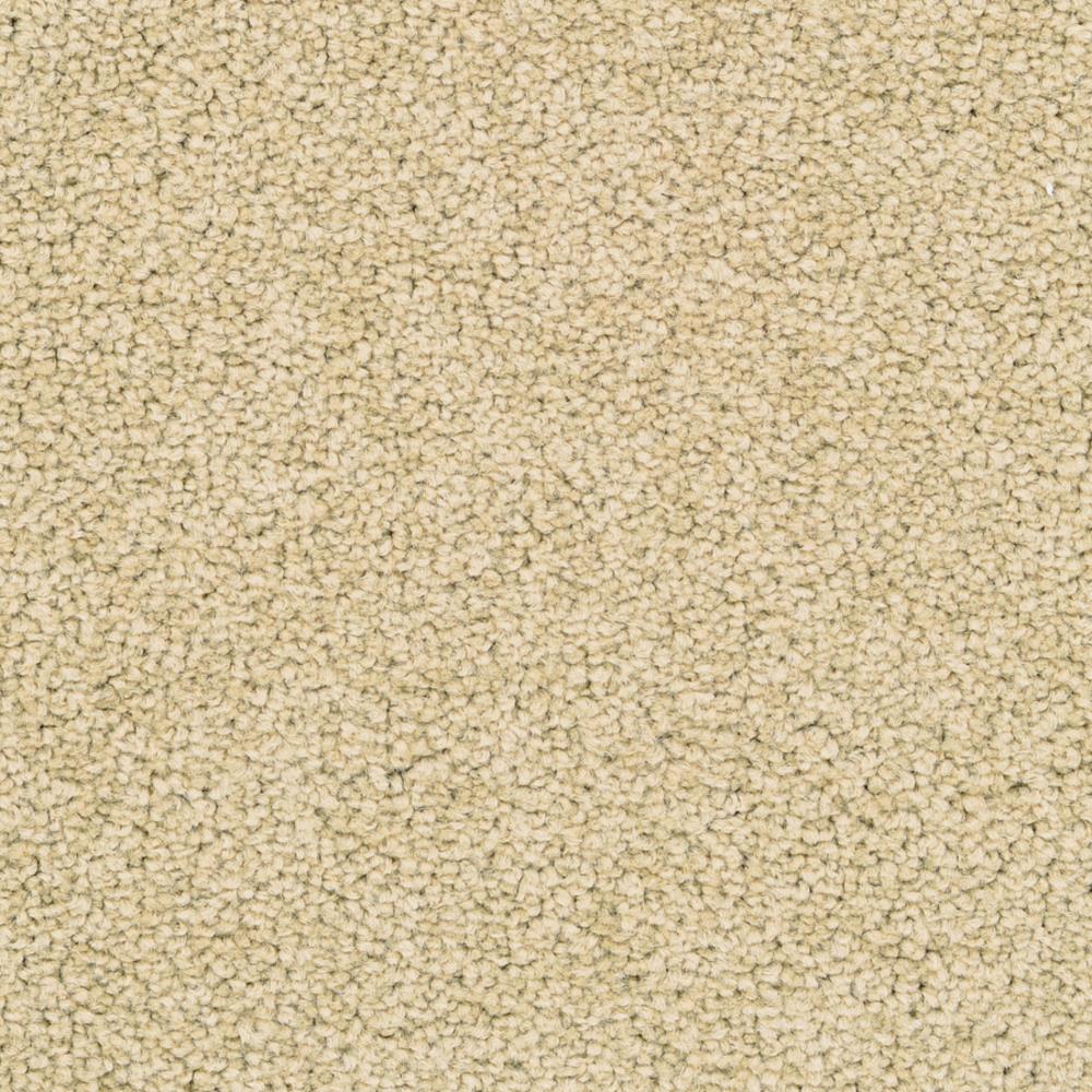 STAINMASTER Active Family Signature Eggplant Textured Carpet Sample (E ...