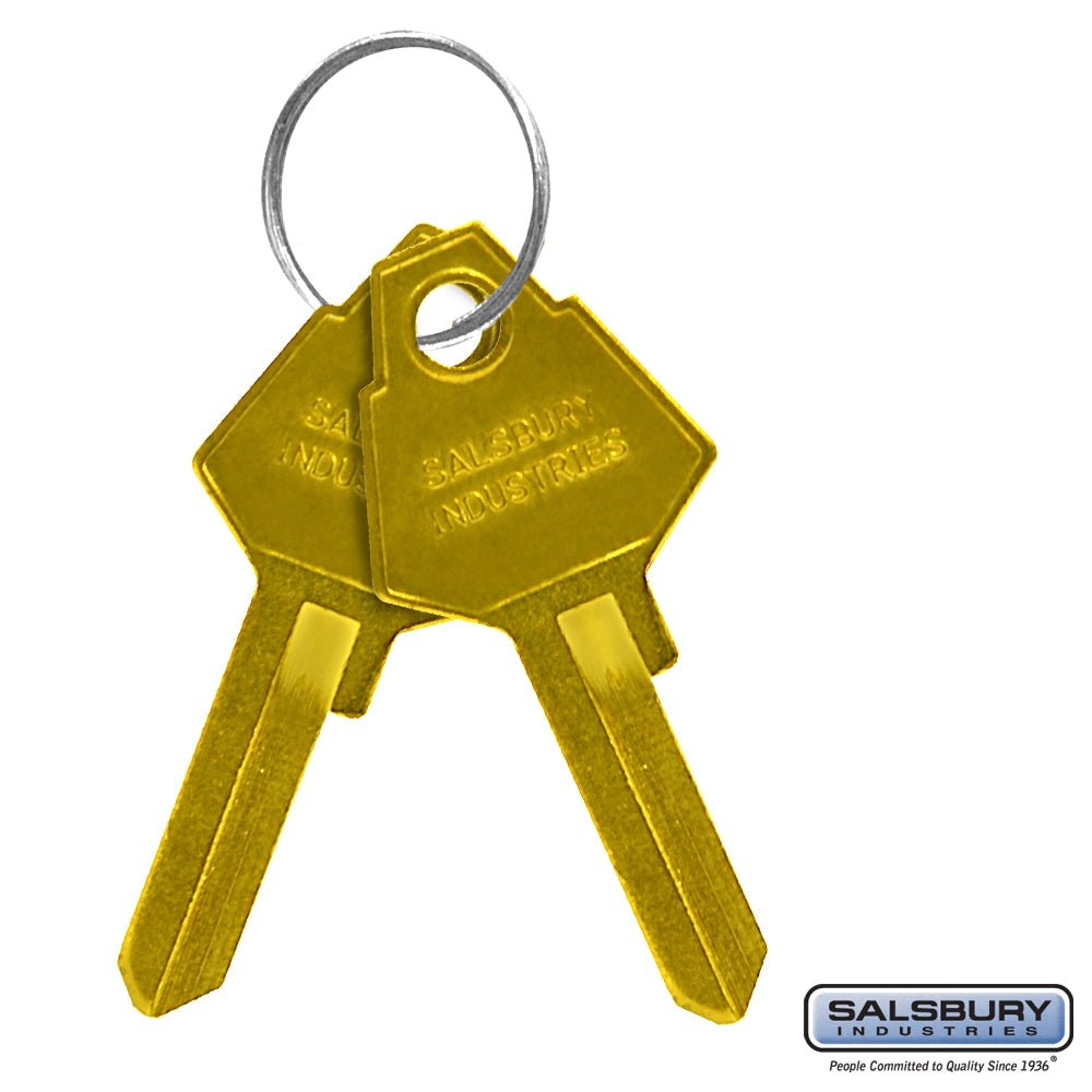 Key Blanks for Standard Locks of Brass Mailboxes - Box of 50 – Super Arbor