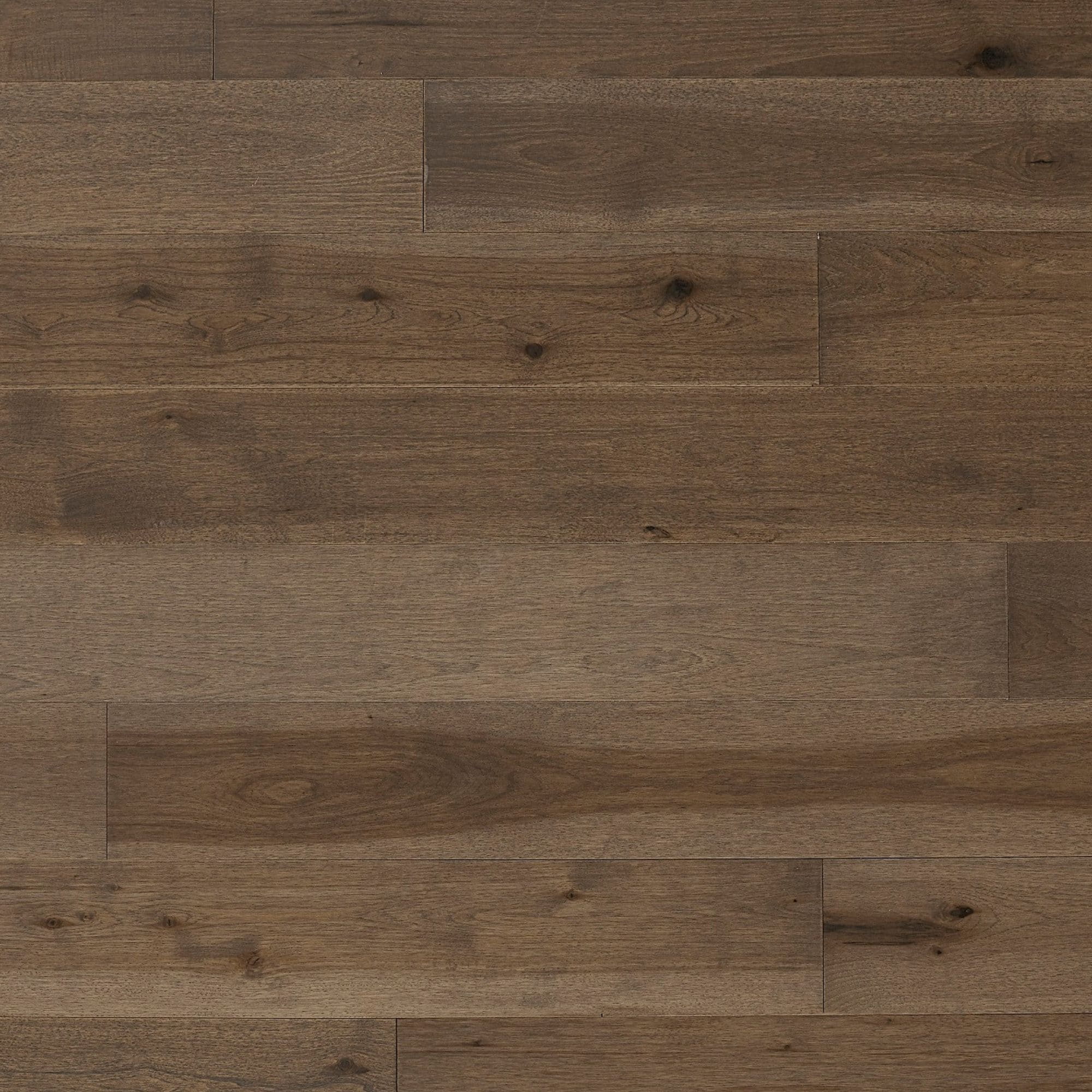 Element Flooring Sahara Lunar Surface Hickory 7-1/2-in W x 1/2-in T x ...