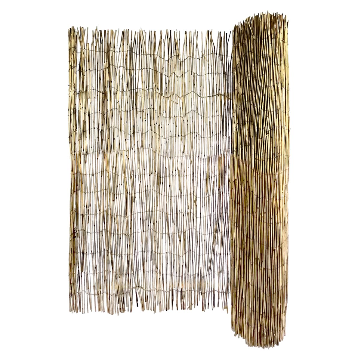 Garden Craft 8x4 FT Bamboo Reed Fencing - Light Brown, Durable & Versa ...