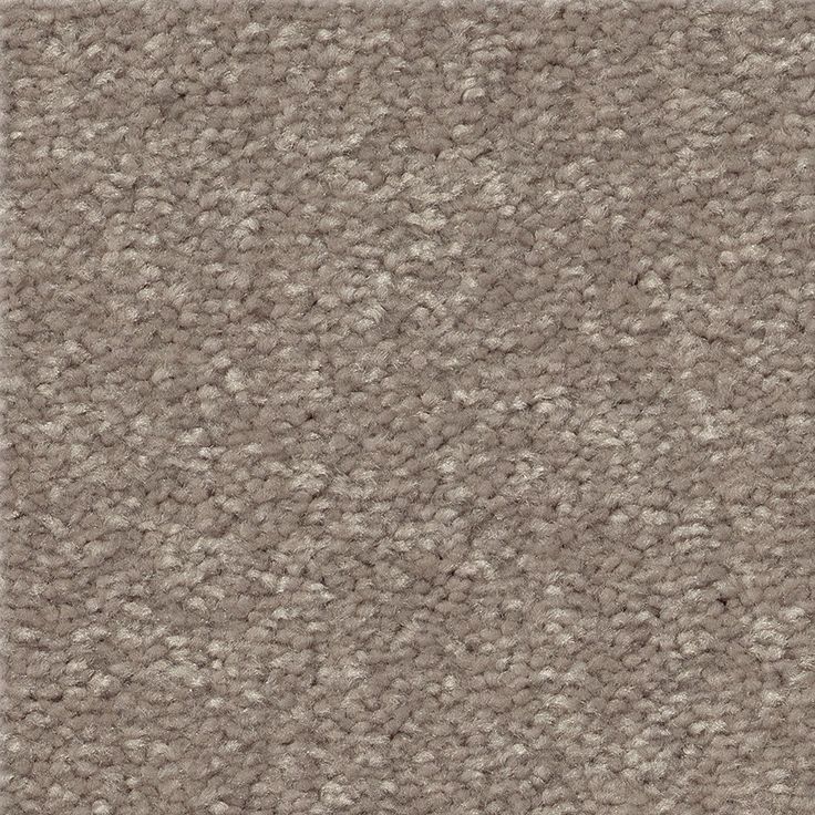 STAINMASTER Essentials Blue Diamonds III 15-ft Tree Bark Textured Carp ...