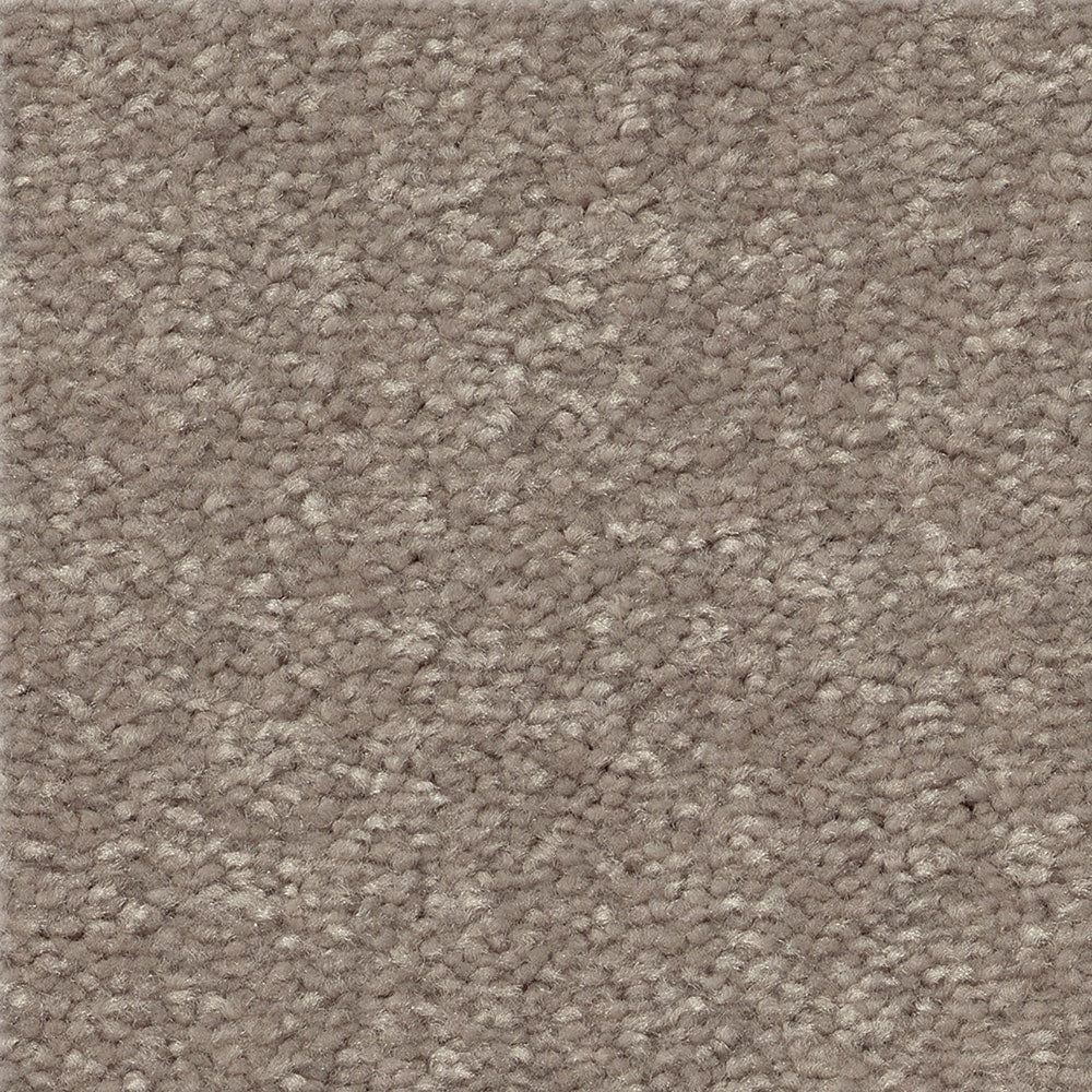 STAINMASTER Essentials Blue Diamonds III 15-ft Tree Bark Textured Carp ...