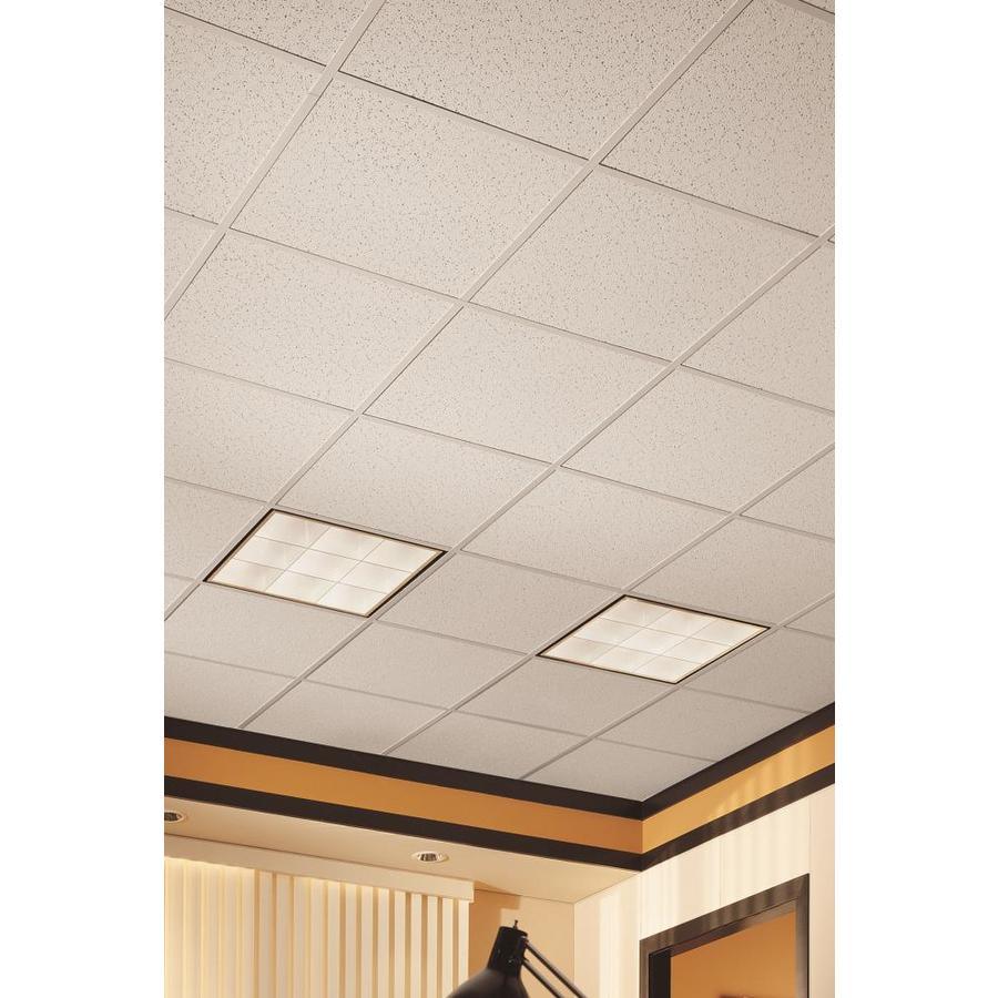 Armstrong Ceilings Random Textured 24 in. x 24 in. Fissured Drop Acous ...