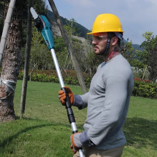 Liangye 20V Cordless Gardening Tools Lcgp770-1 Battery Operated Pole C ...