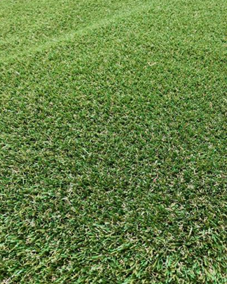 TrafficMaster Pet Turf 3.75 ft. x 9 ft. Green Artificial Grass Runner ...
