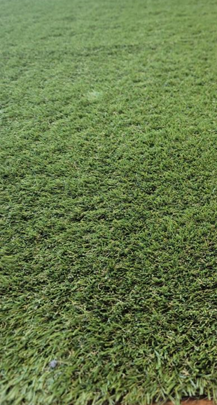 TrafficMaster Soft Fescue 6 ft. x 12 ft. Green Artificial Grass Rug ...