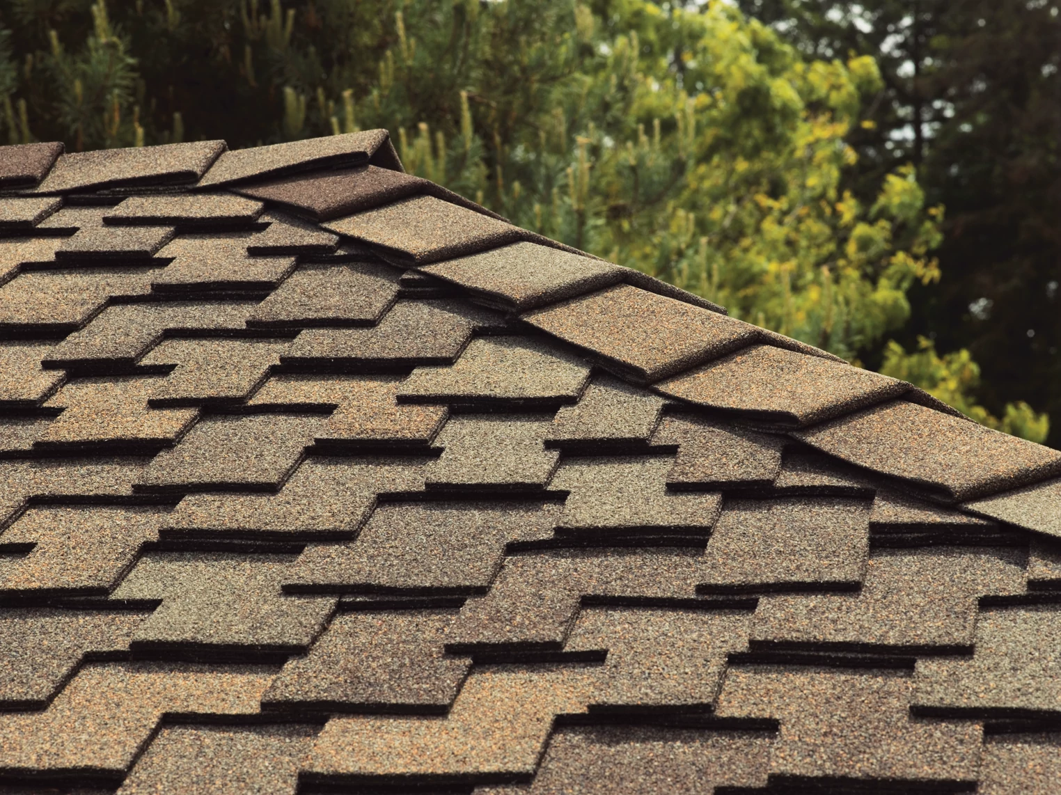 CertainTeed Mountain Ridge 10 in. Heather Blend Hip & Ridge Shingles ...