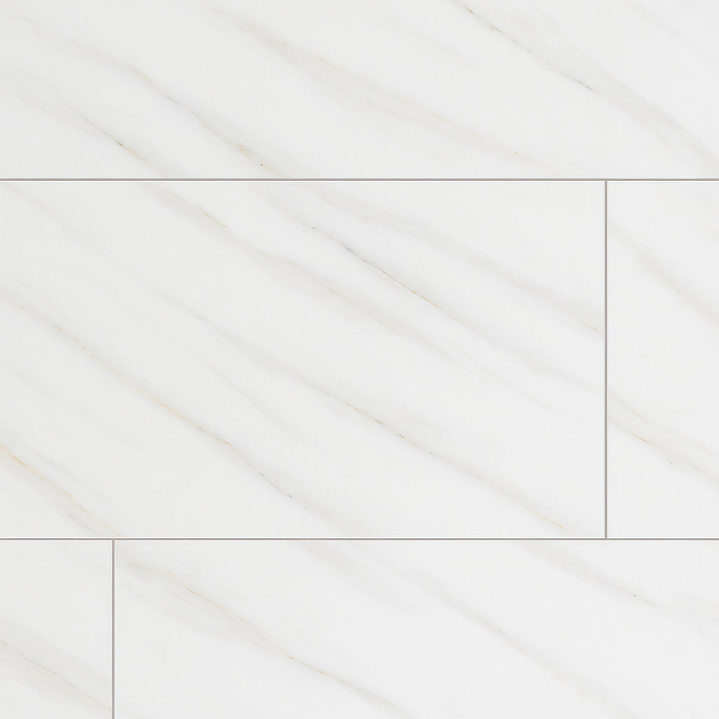 Maximo Leida Bianco Antimicrobial Porcelain Tile 24 x 48 – Super Arbor