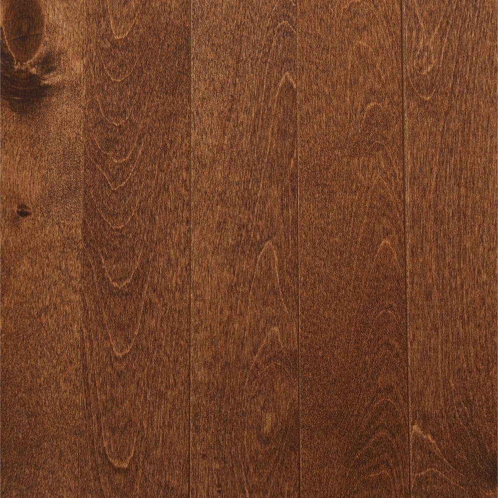 Mono Serra Canadian Northern Birch Cappuccino 3/4 in. T x 2-1/4 in. W ...