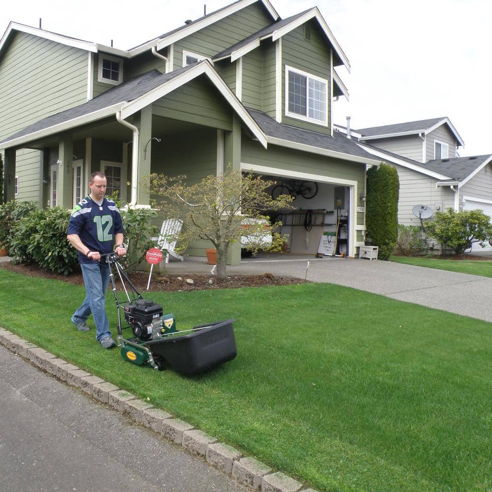 California Trimmer Classic High Cut 20 in. 5-Blade Briggs & Stratton G ...