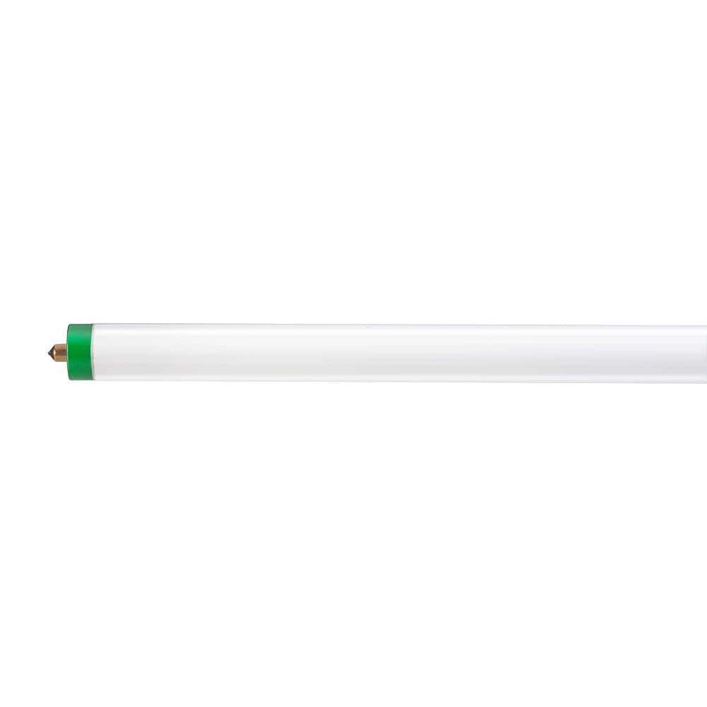 Philips 59-Watt 8 ft. Alto T8 Fluorescent Tube Light Bulb, Cool White ...