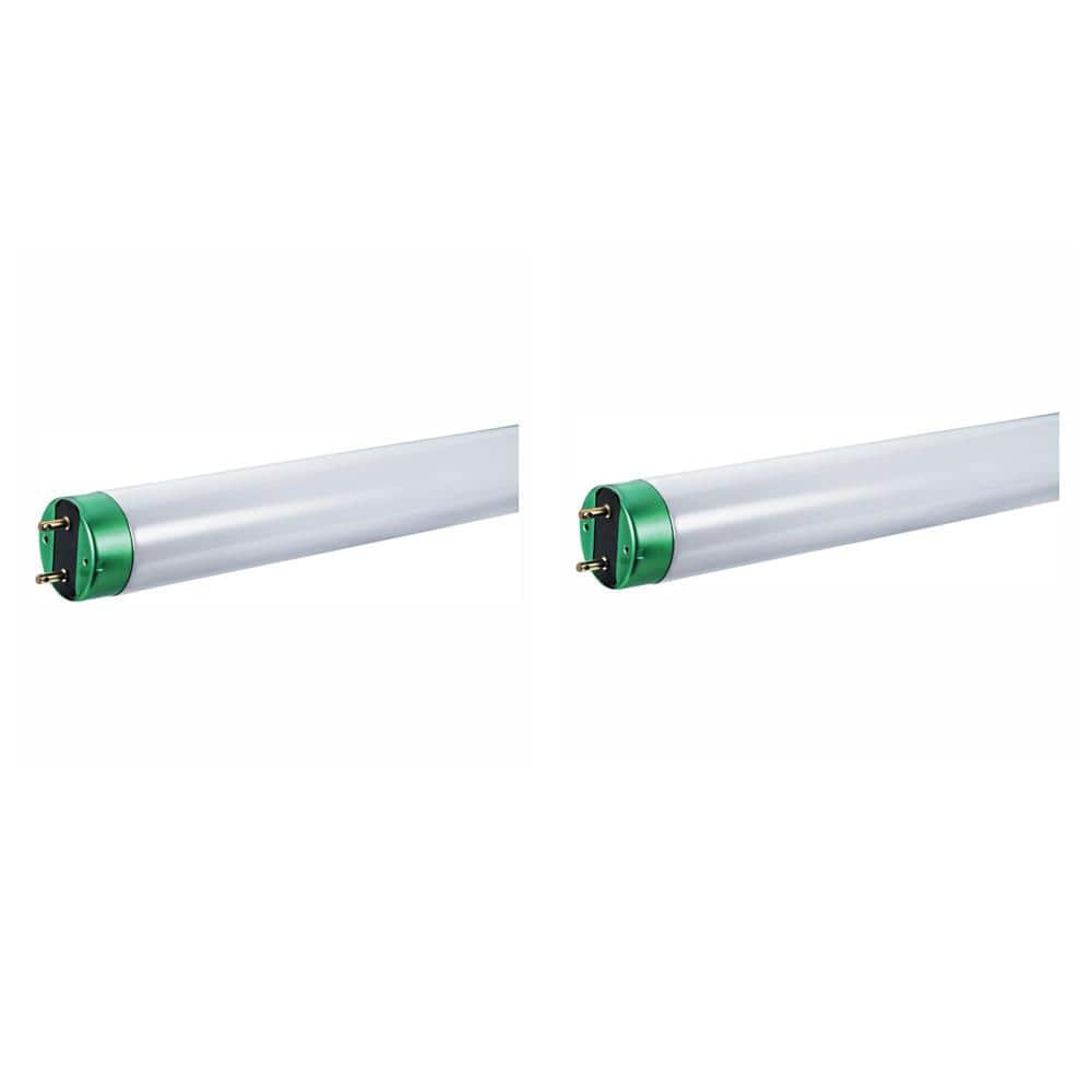 Philips 32-Watt 4 ft. Linear T8 ALTO Fluorescent Tube Light Bulb, Dayl ...