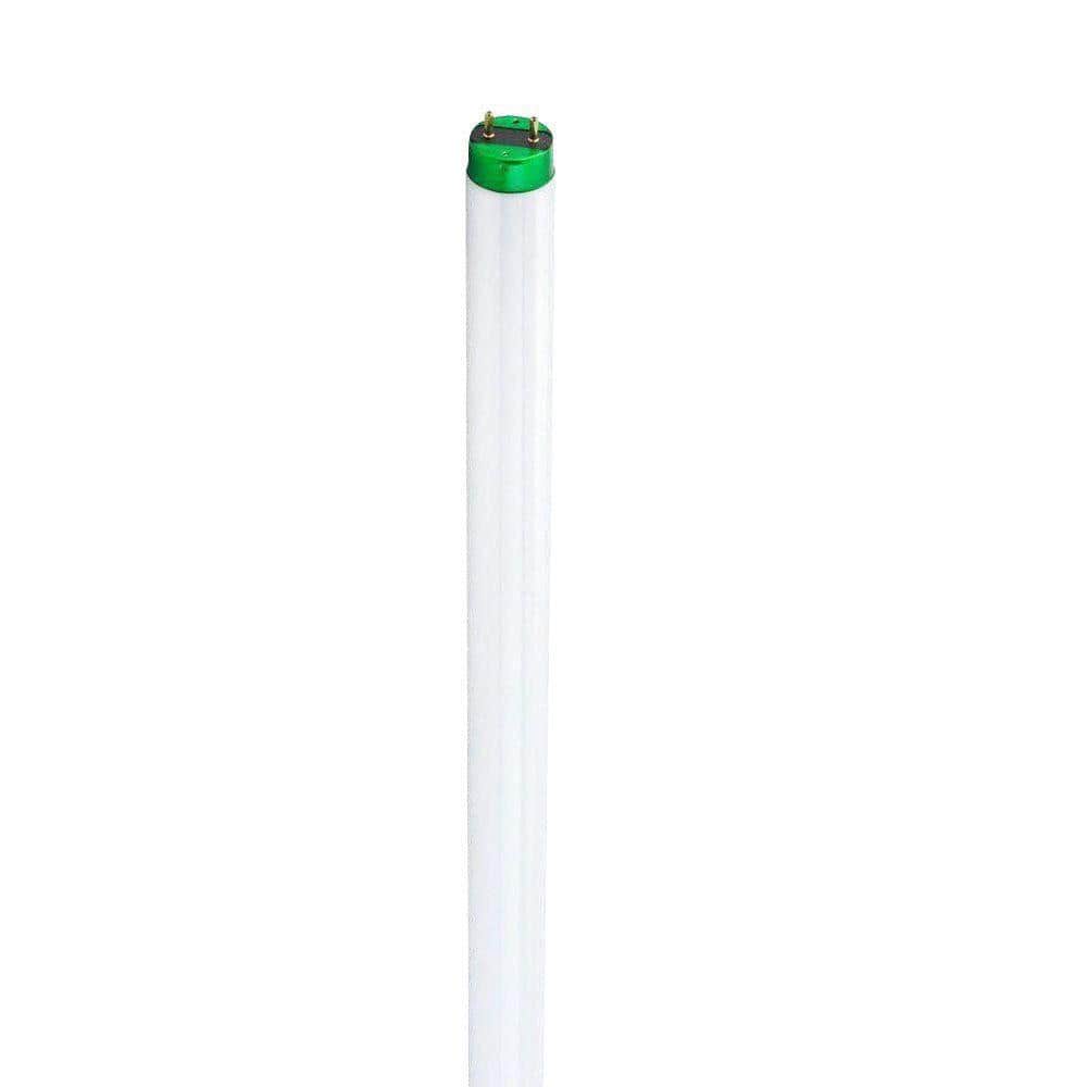Philips 15-Watt 18 in. Linear T8 ALTO Fluorescent Tube Light Bulb, Day ...
