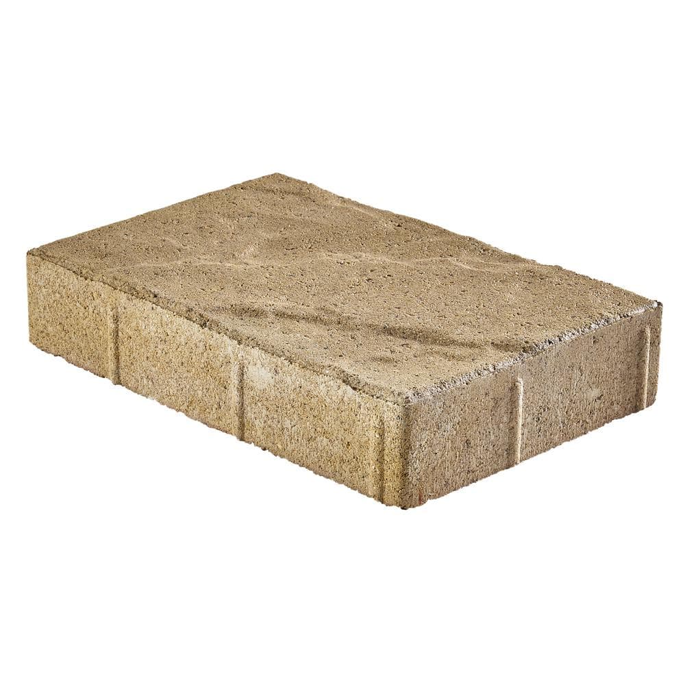 Pavestone Taverna 11.81 in. L x 7.87 in. W x 1.97 in. H Rectangle San ...