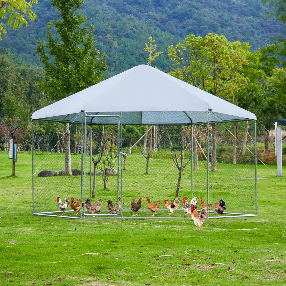 GOGEXX 13.1ft. x 8.6 ft. Metal Chicken Coop Steel Wire Walkin Poultry ...