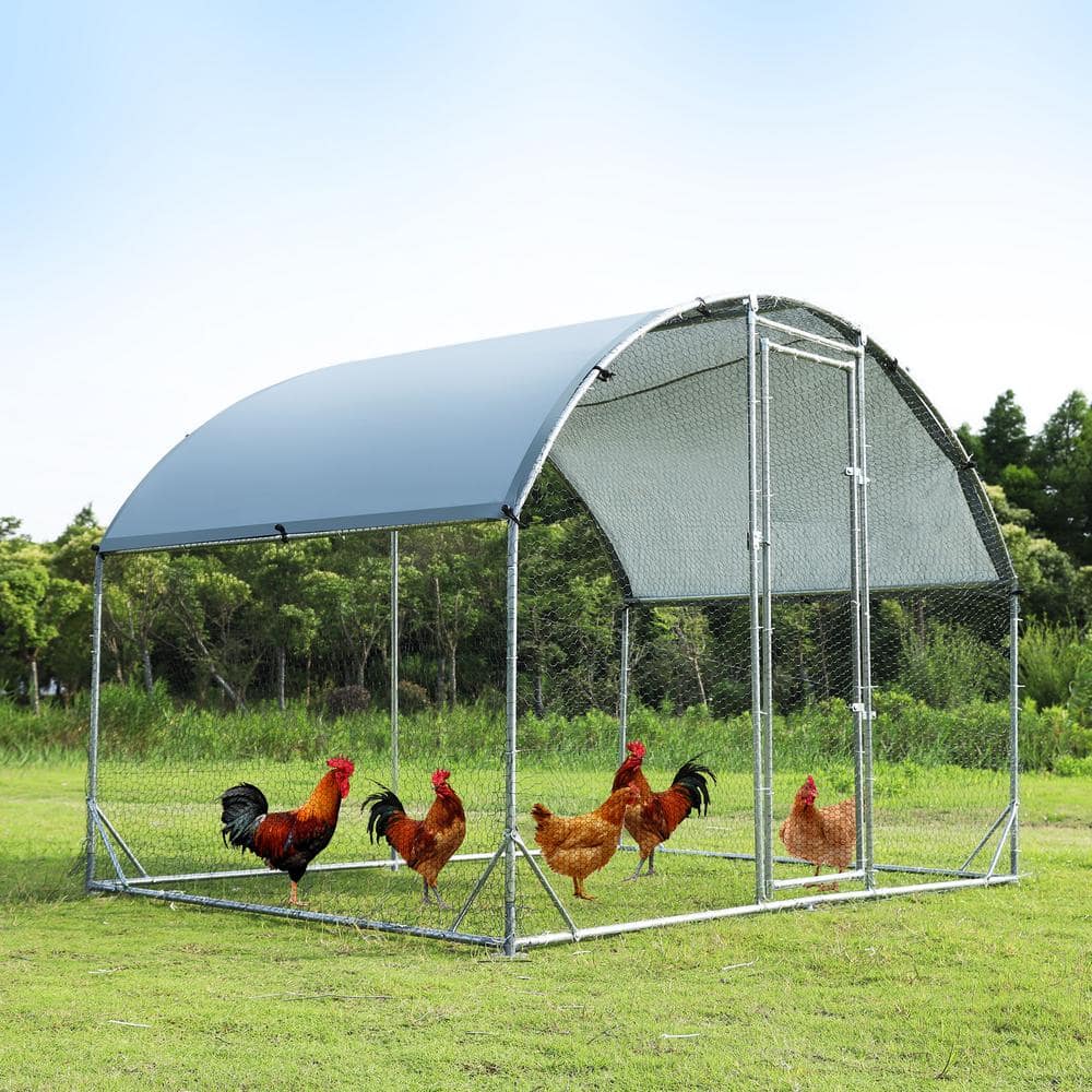 GOGEXX 12.5 ft.L x 9.2 ft. W x 6.5 ft.H Large Metal Chicken Coop Chick ...