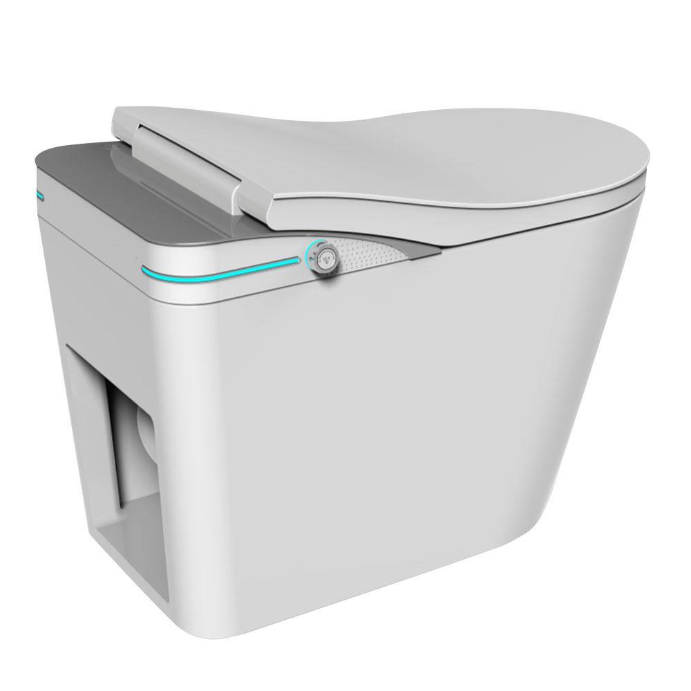 Advanced Tankless Elongated Bidet Toilet with Auto Flush and Remote Co ...