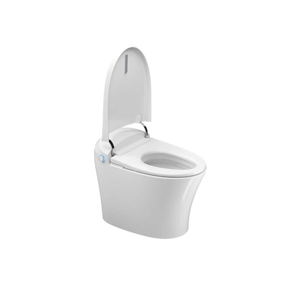 Castellousa New York Simple Plus Elongated Bidet Toilet with Adjustabl ...
