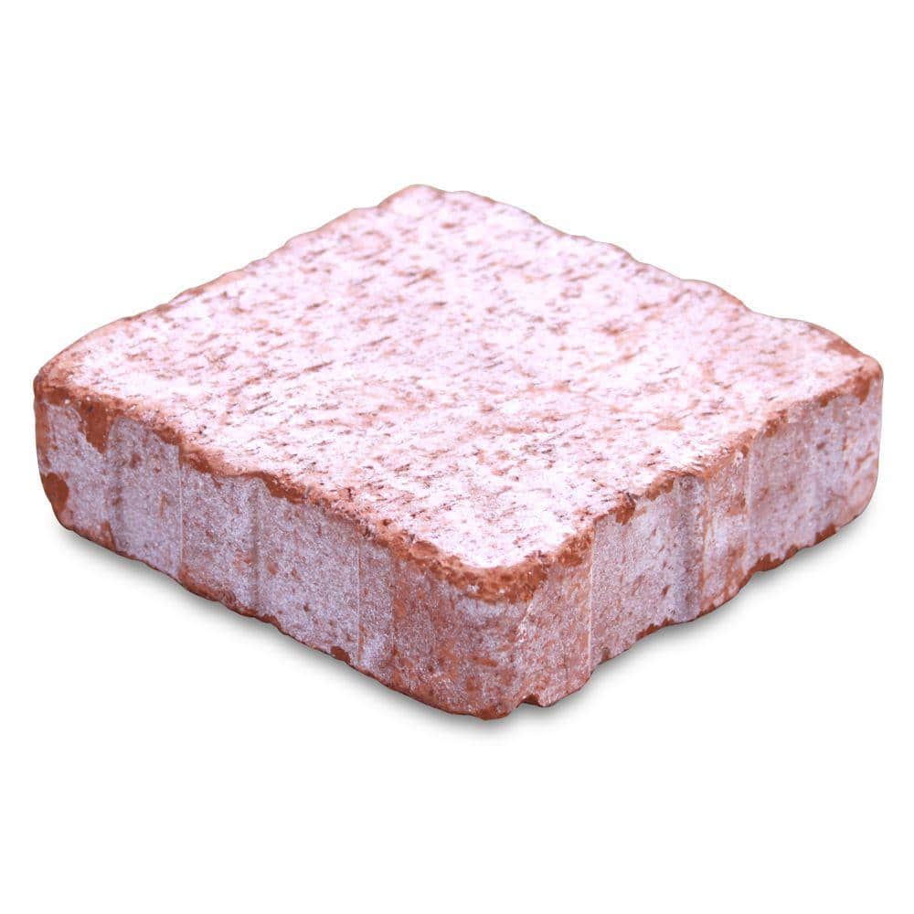 Pacific Clay Relic 6 in. x 1.63 in. x 6 in. Clay Cabrillo Paver – Super ...