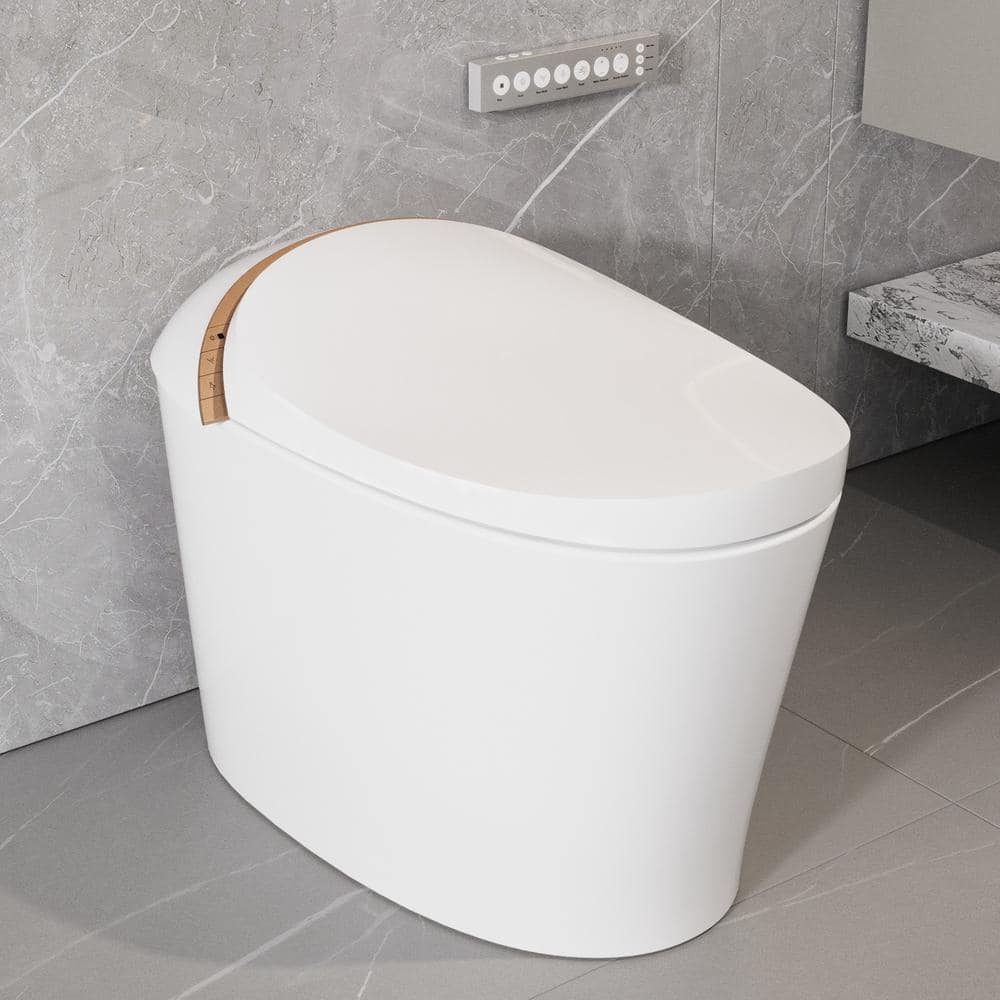 DEERVALLEY Tankless Smart Toilet Bidet with Auto Flush and Warm Water ...