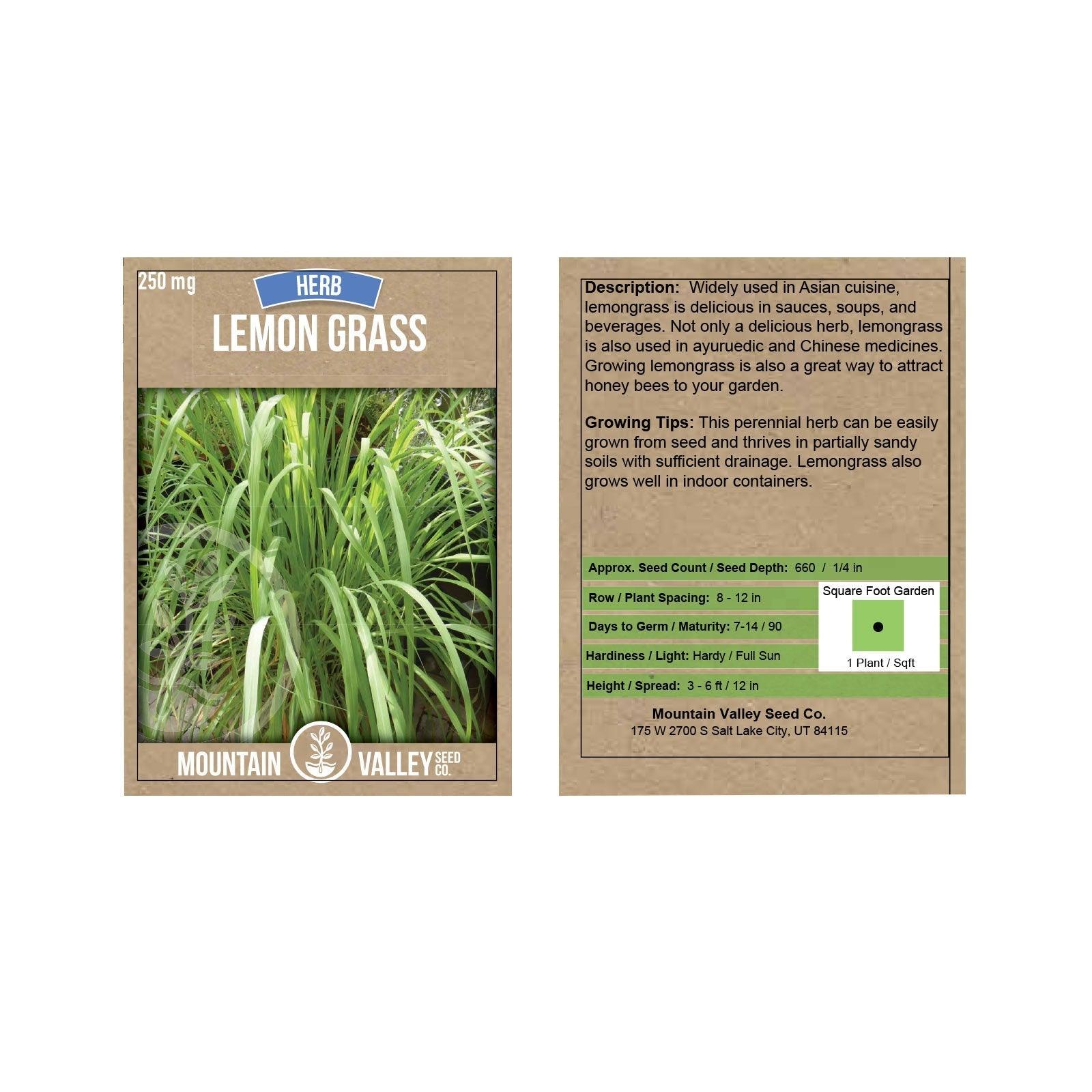 Lemon Grass Seeds - 250 g Packet - Non-GMO, Heirloom Culinary Herb Gar ...