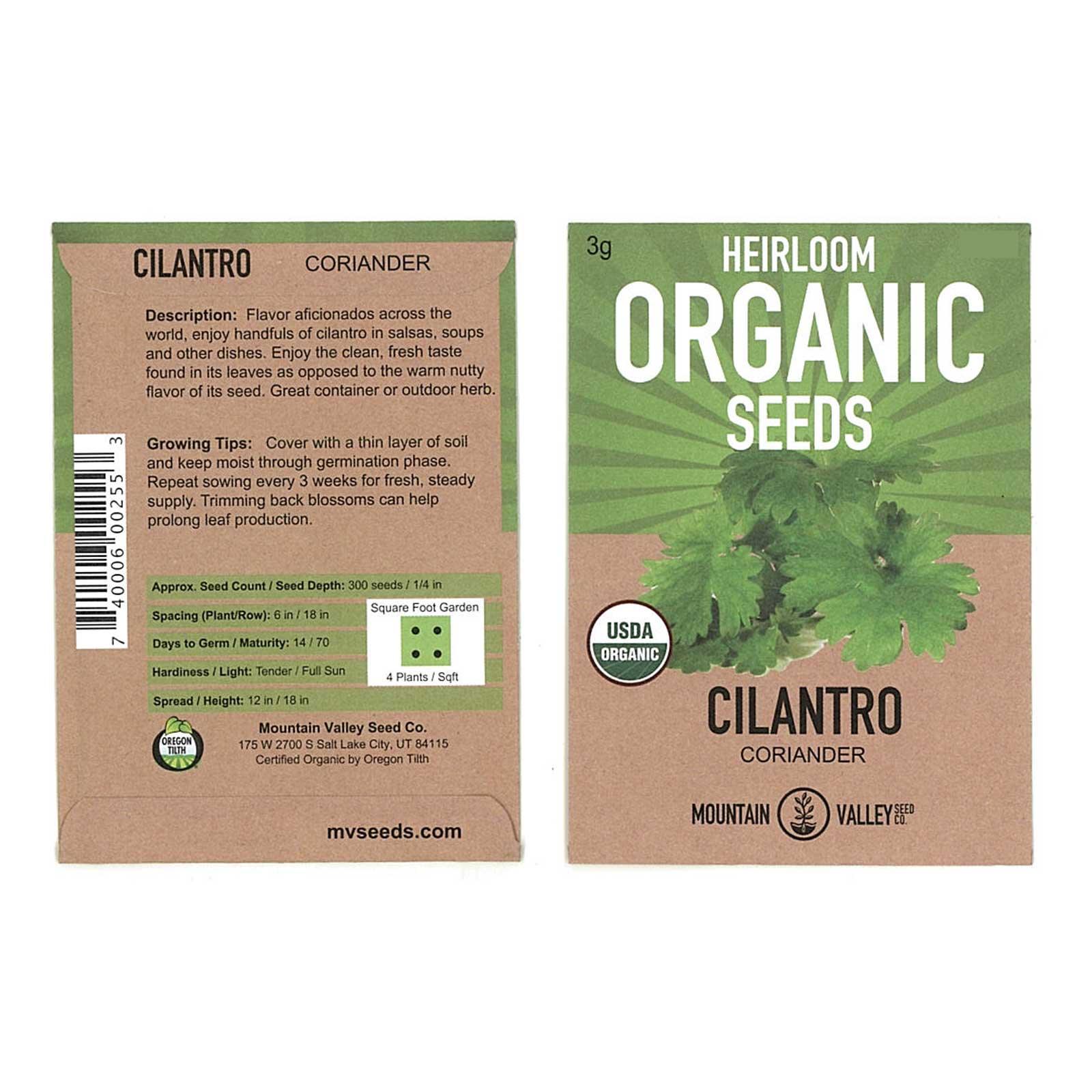 Slow Bolt Cilantro Herb Garden Seeds - 3 Gram Packet - Non-GMO, Heirlo ...